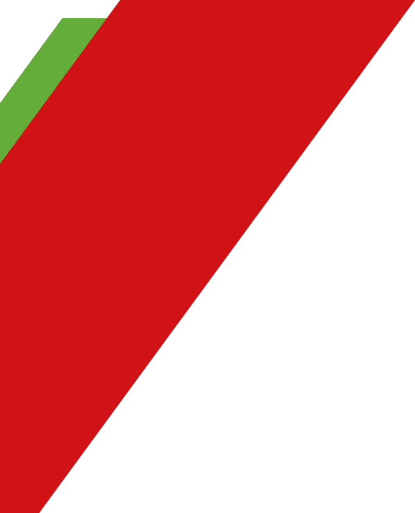 Top Pest Control Companies in Atlanta - North Fulton Pest Solutions