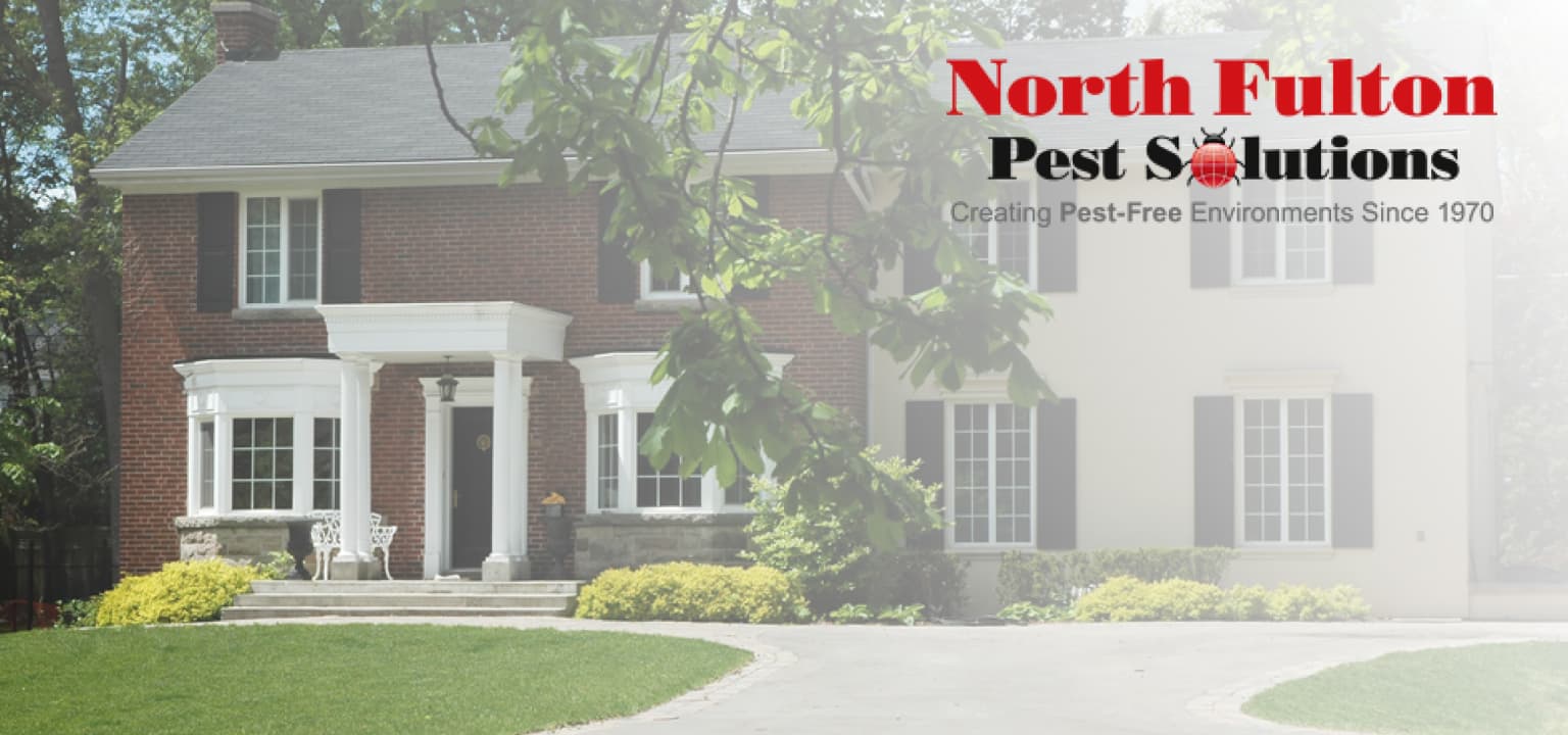 Pest Control Canton GA | Expert Canton Termite and Pest Control ...